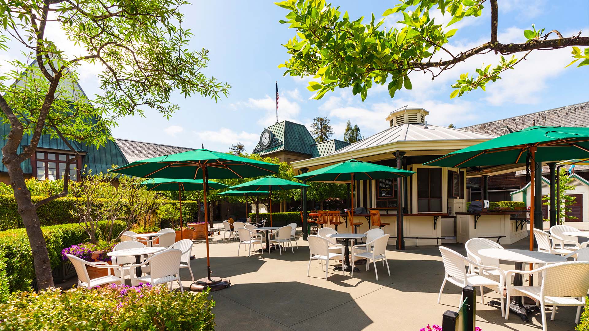 Pool Café | Francis Ford Coppola Winery