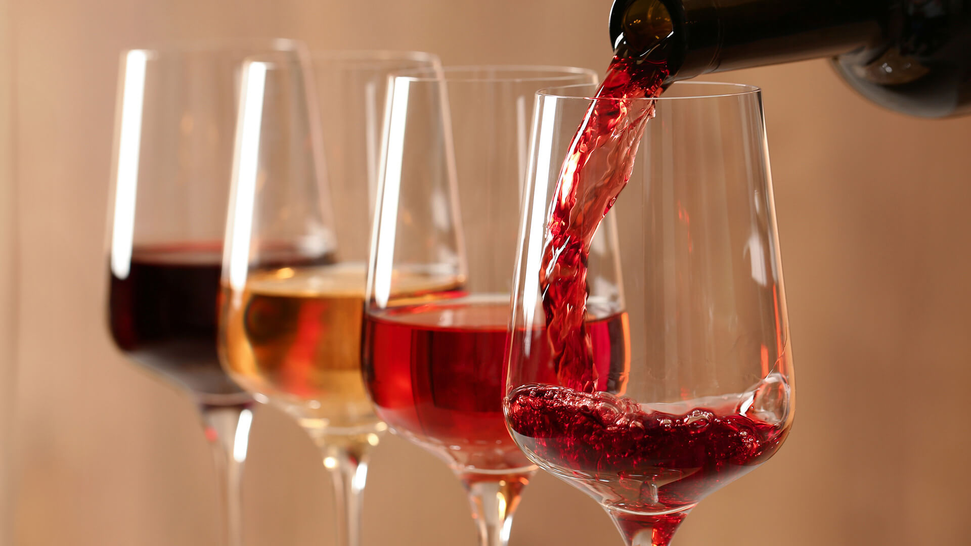Wine Tasting | Francis Ford Coppola Winery
